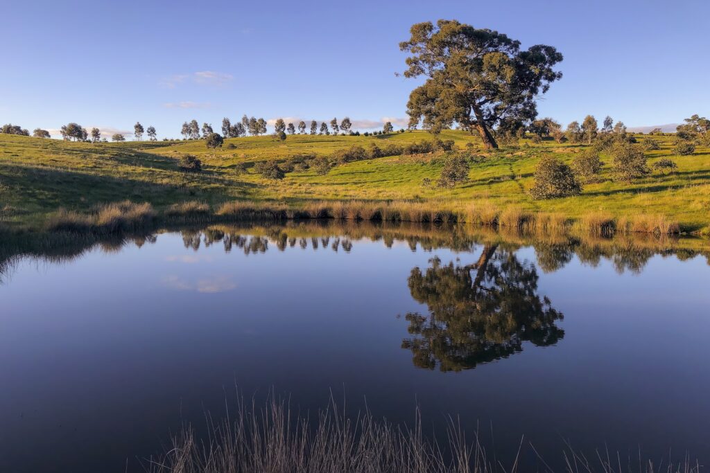 Farm and Golf Dams – Greendrop Solutions